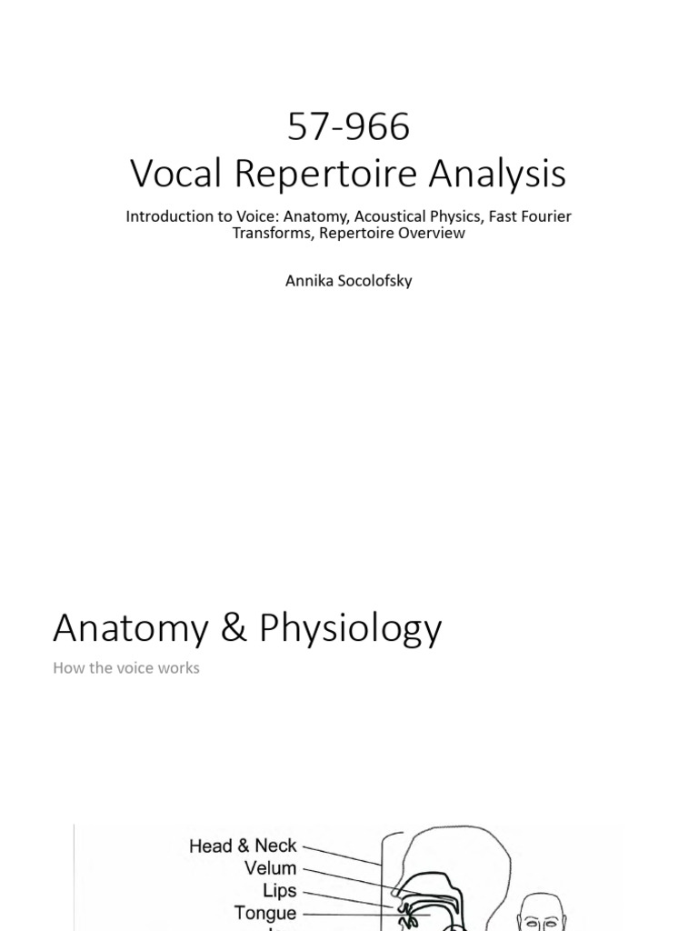 Physics and Music Week1Slides - 57966 | PDF | Sound | Pitch (Music)