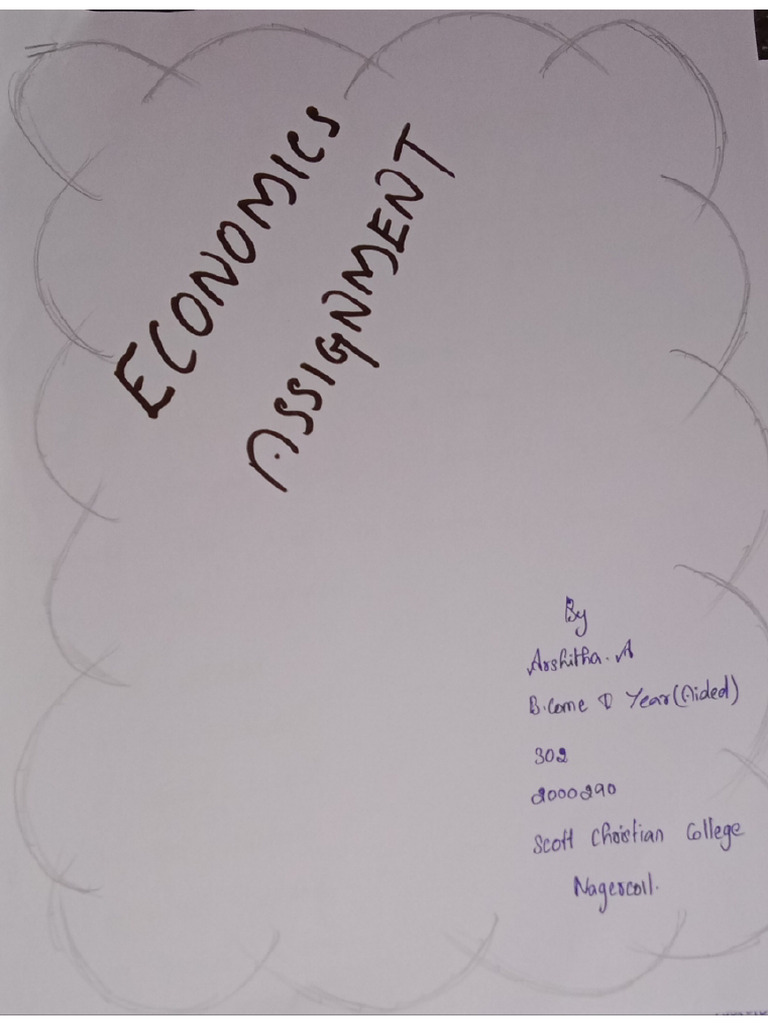 Economic Assignment | PDF