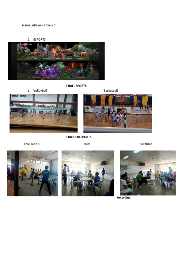 Sports Categories Overview | PDF
