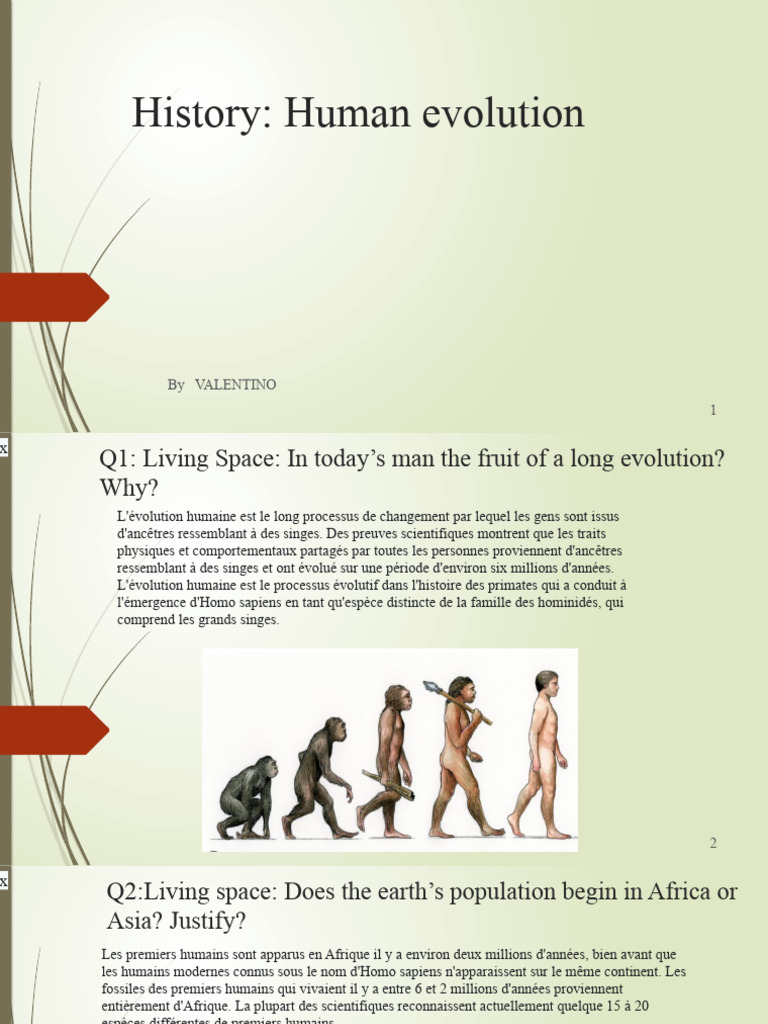 History - Human - Evolution - FR | PDF | Humain | Hominidae