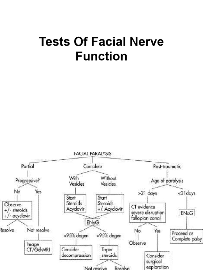 Tests of Facial Nerve | Download Free PDF | Neuroscience | Neurology