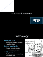 Anatomy of the Osteomeatal Complex | PDF | Human Nose | Human Head And Neck
