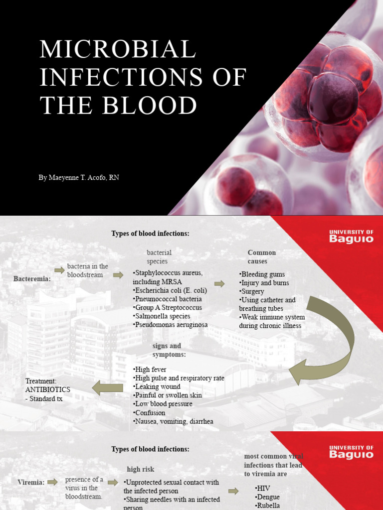 FINALS - Microbial Infections of The Blood | PDF | Malaria | Infection