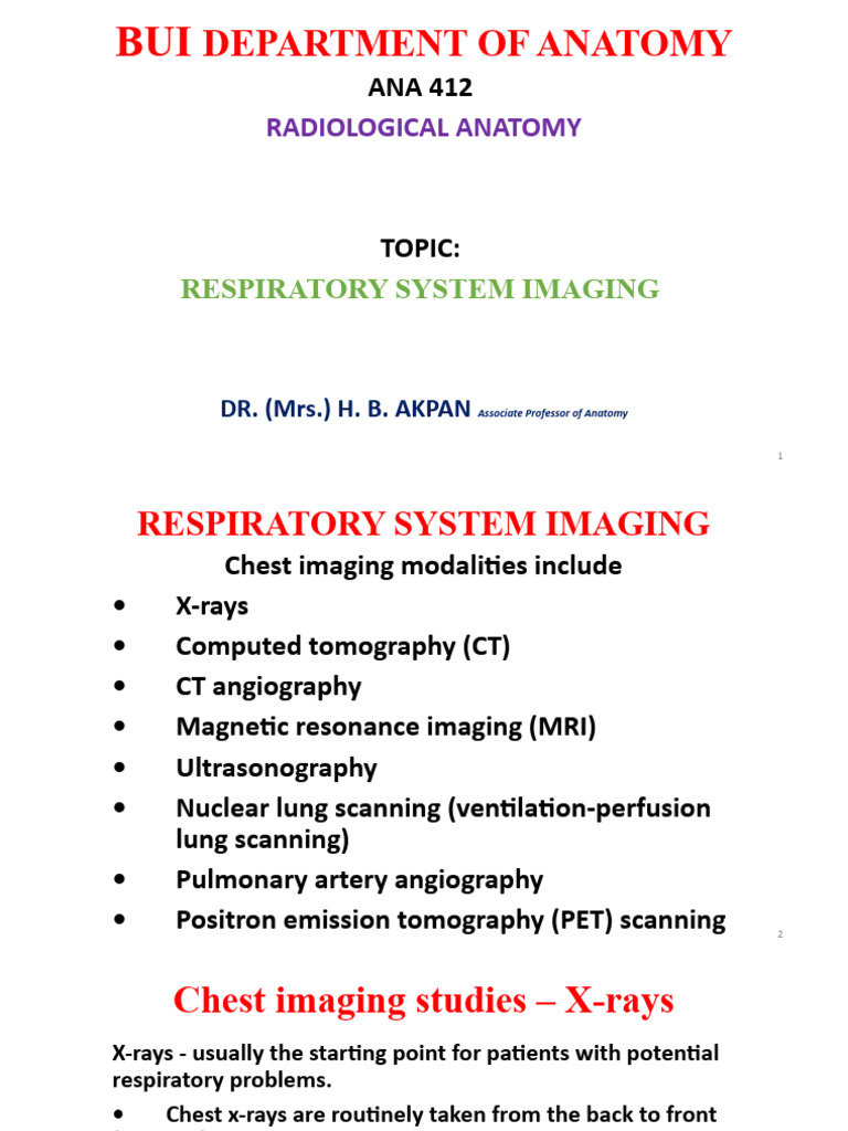ANA 412 Respiratory System Imaging | PDF | Ct Scan | Angiography