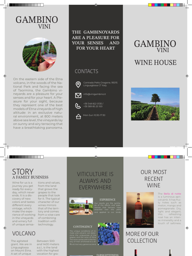 Tripticovino | PDF | Wine | Vineyard