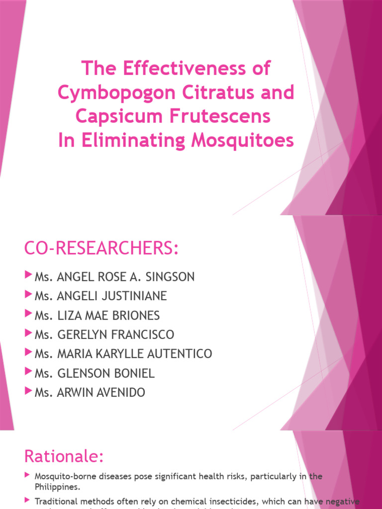 Research Group 3 Final | PDF | Capsicum