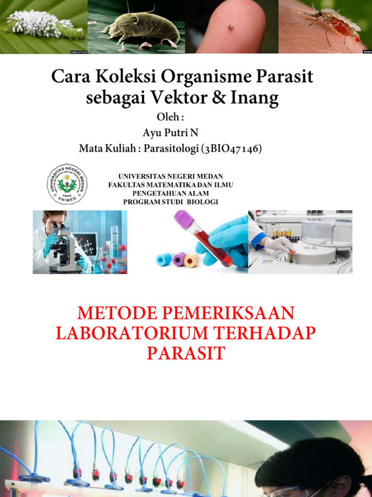 Cara Koleksi Organisme Parasit sebagai Vektor & Inang | PDF