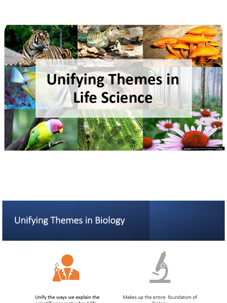 Life Science Lecture 2 | PDF | Self-Improvement