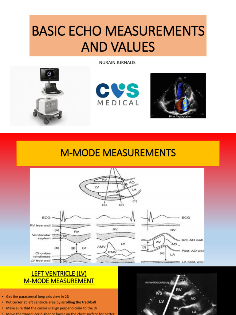 BASIC ECHO MEASUREMENT AND VALUES | PDF | Ventricle (Heart) | Heart Valve
