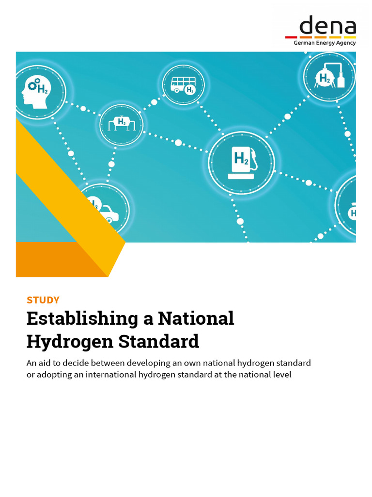 Establishing A National Hydrogen Standard by DENA 2023 | PDF | Renewable Energy | European Union