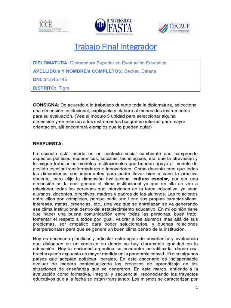 BECKER DAIANA TRABAJO FINAL - Diplomatura Superior en Evaluación Educativa | PDF | Evaluación ...