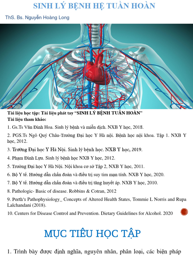 2024-SLB Tuan Hoan Slide | PDF