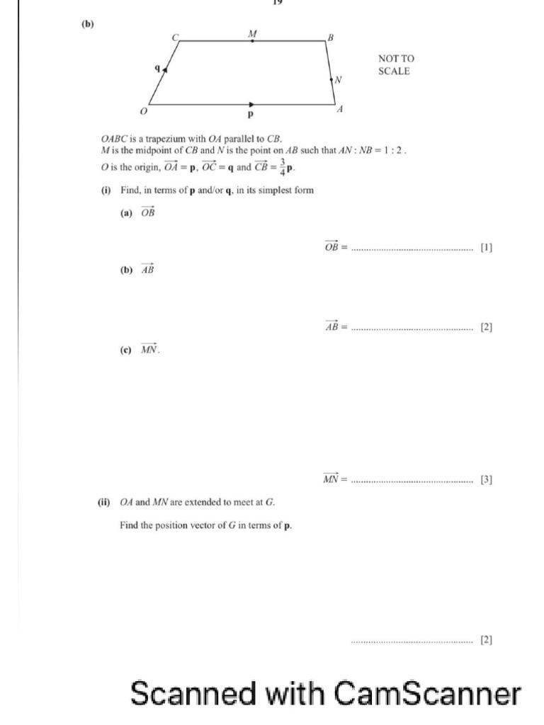 Vectors Worksheet | PDF