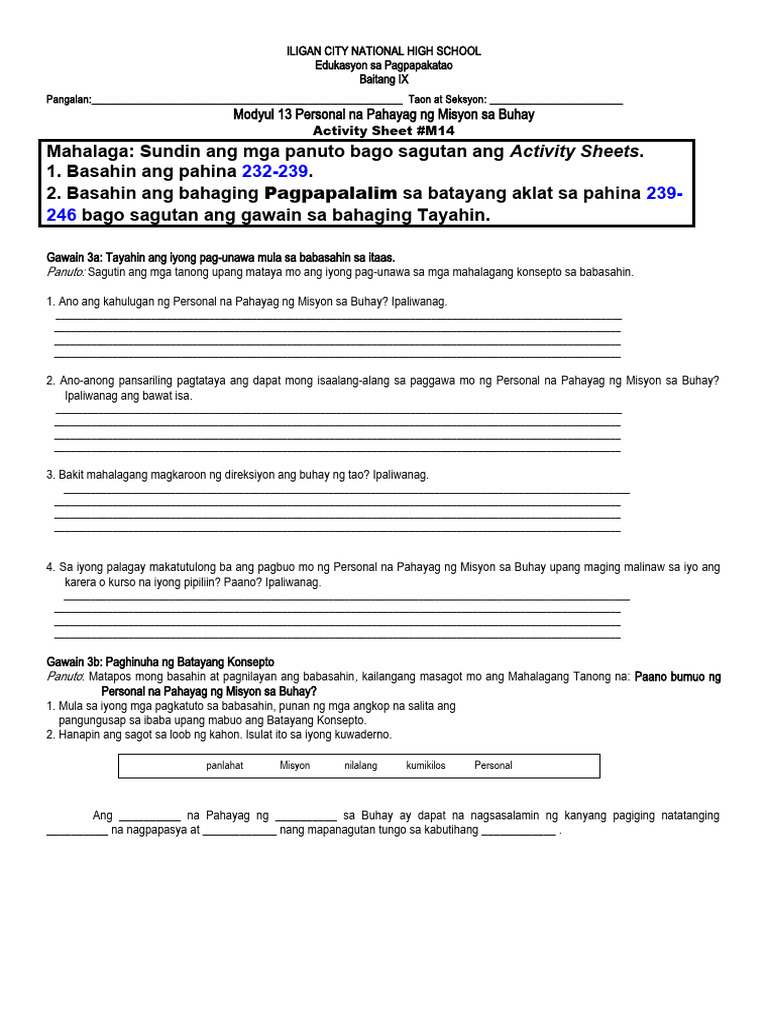 Activity Sheet m13 | PDF
