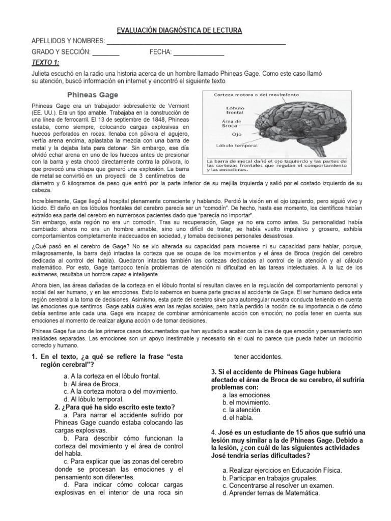 Evaluación Diagnóstica de Lectura - 122033 | PDF | Las emociones | Cerebro