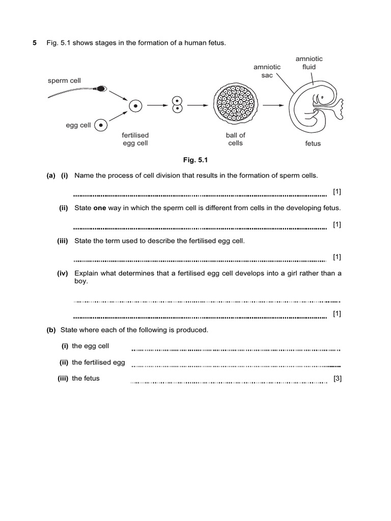 Revision Reproduction 1 Year 9 Term 1 | PDF