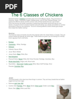 Essential Gamefowl Bloodlines Guide | PDF | Birds | Tetrapods
