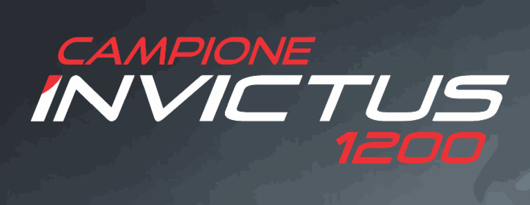 INVICTUS 1200 Stroke and Fill | PDF