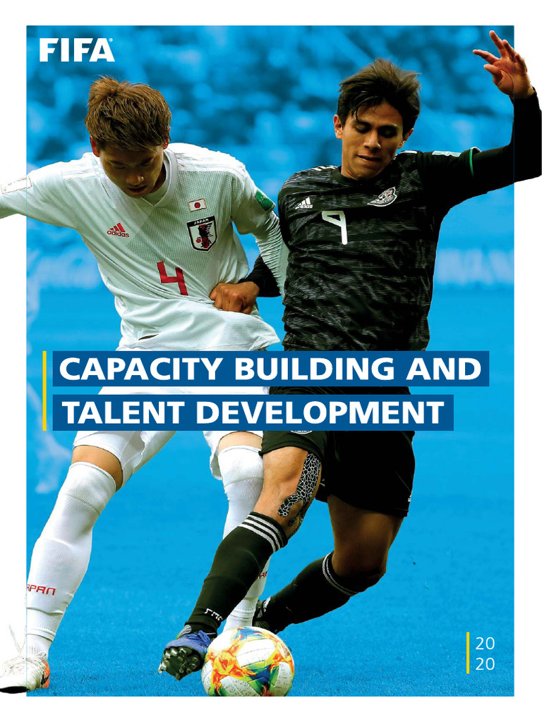 Brochure - Report Technical capacity-building | PDF | Mentorship ...