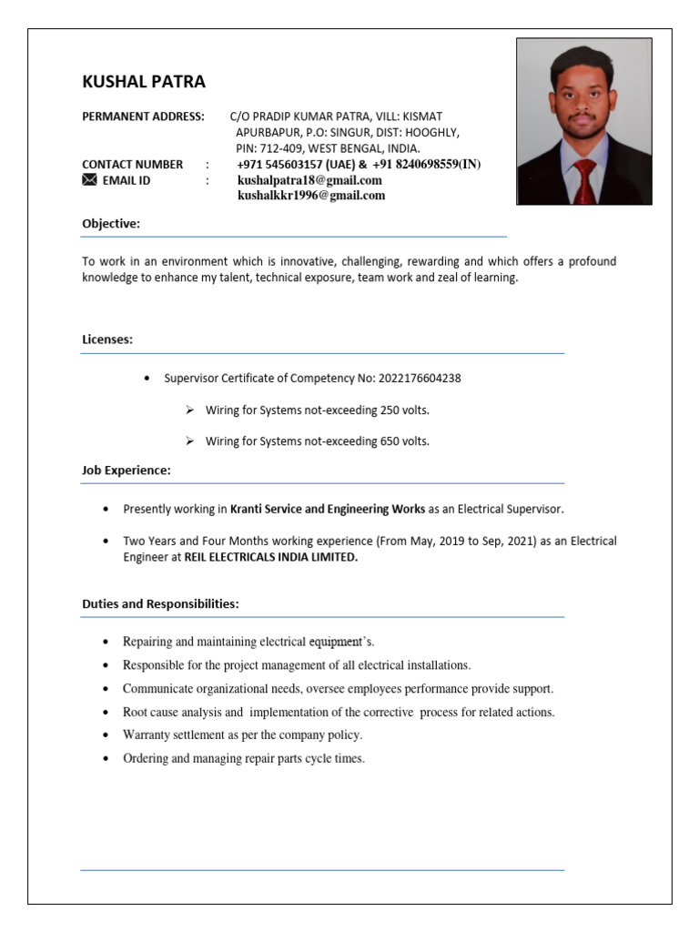 Curriculum Vitae - Kushal Patra | PDF