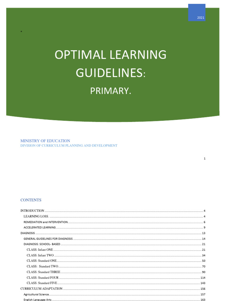 Optimal Learning Guidelines Primary School - PDF Version 1 | PDF | Learning | Cognition