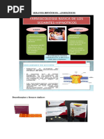 Guía de Uso de Sedoxil para Ansiedad | PDF | Benzodiazepinas ...