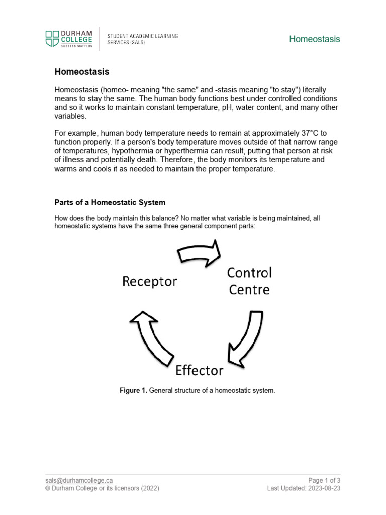 Homeostasis | PDF | Homeostasis | Thermoregulation