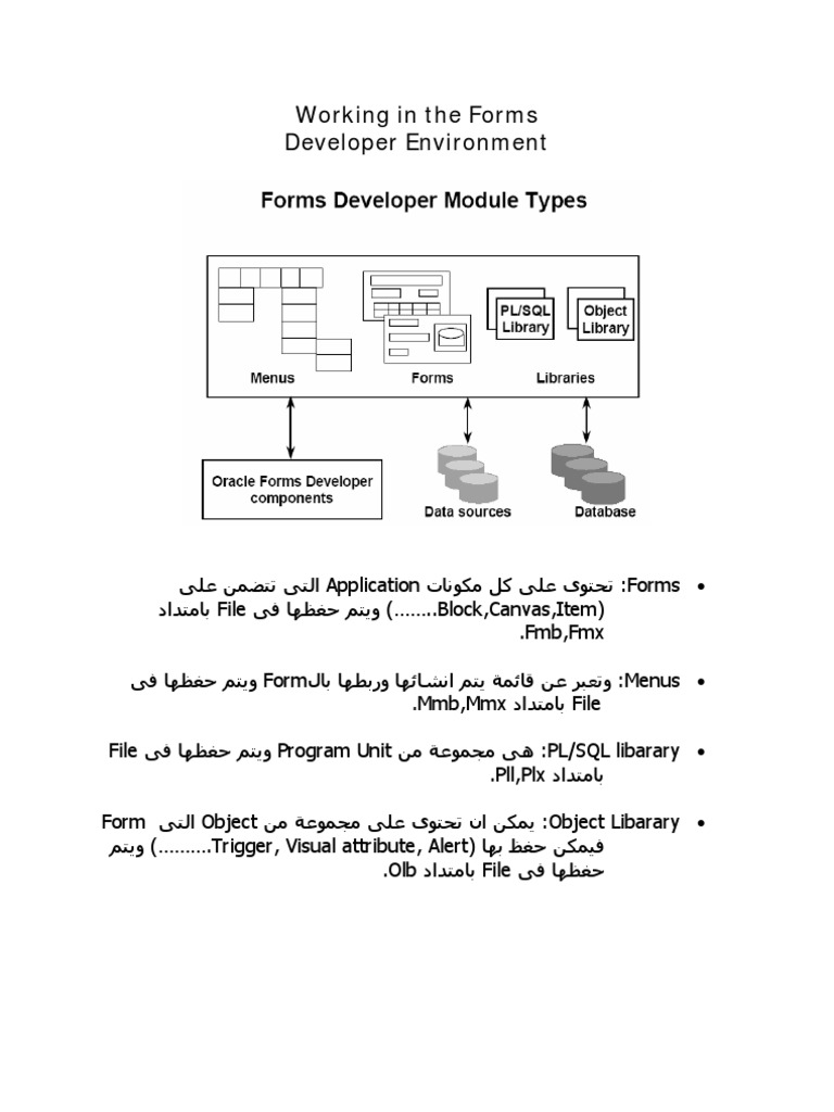 Forms Developer Environment Overview | PDF