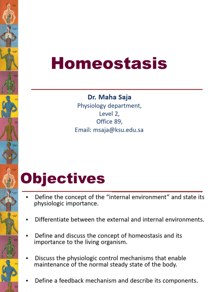 5-Homeostasis | PDF | Homeostasis | Biology