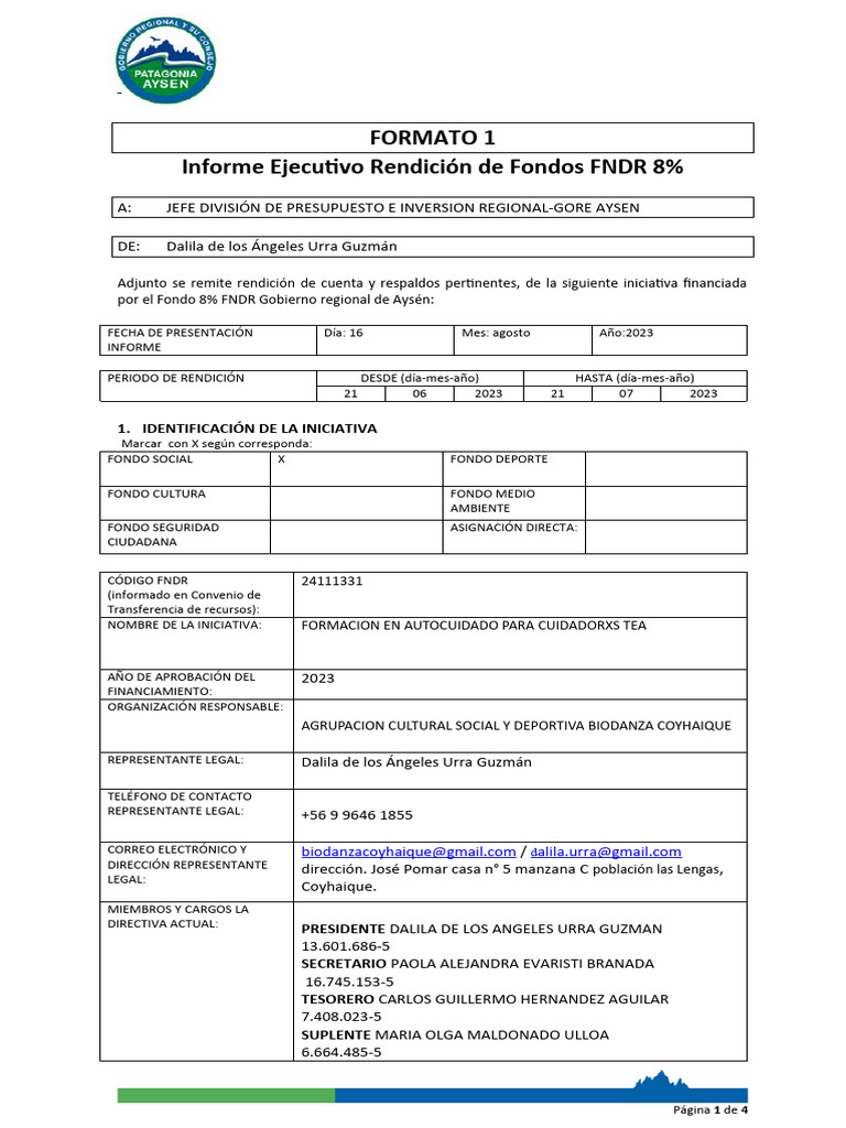 Informe de Rendición FNDR Aysén | PDF | Finanzas y dinero