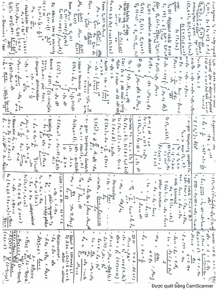 Ltam | PDF