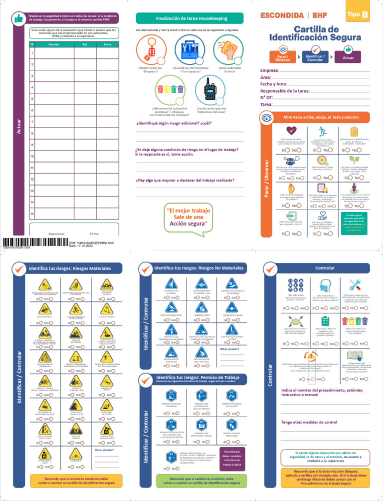 RG-HSEC-005-Cartilla Identificación Segura (CIS) TIPO B-00 | PDF