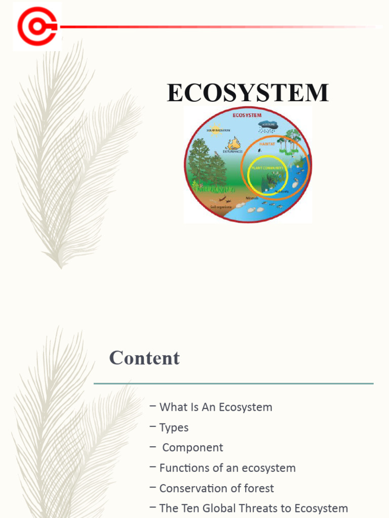 Ecosystem | PDF | Ecosystem | Natural Environment