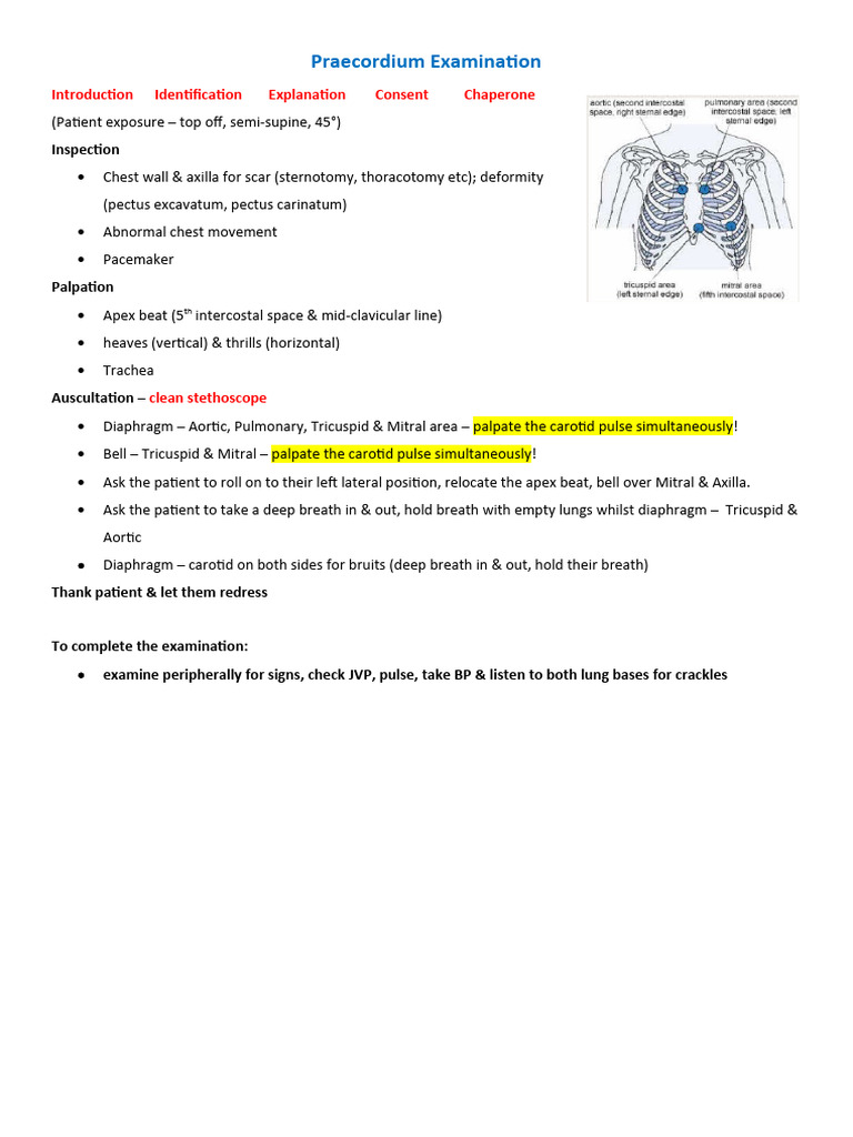 Praecordium Examination | PDF