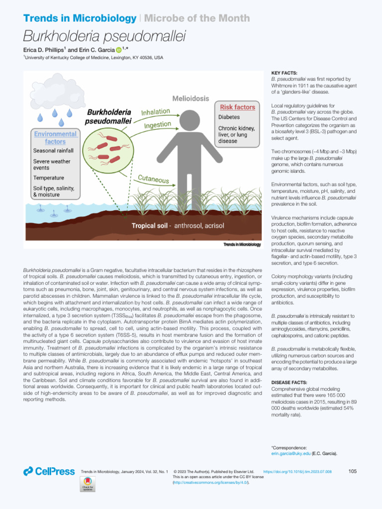 Burkholderia Pseudomallei | PDF | Immunology | Clinical Medicine