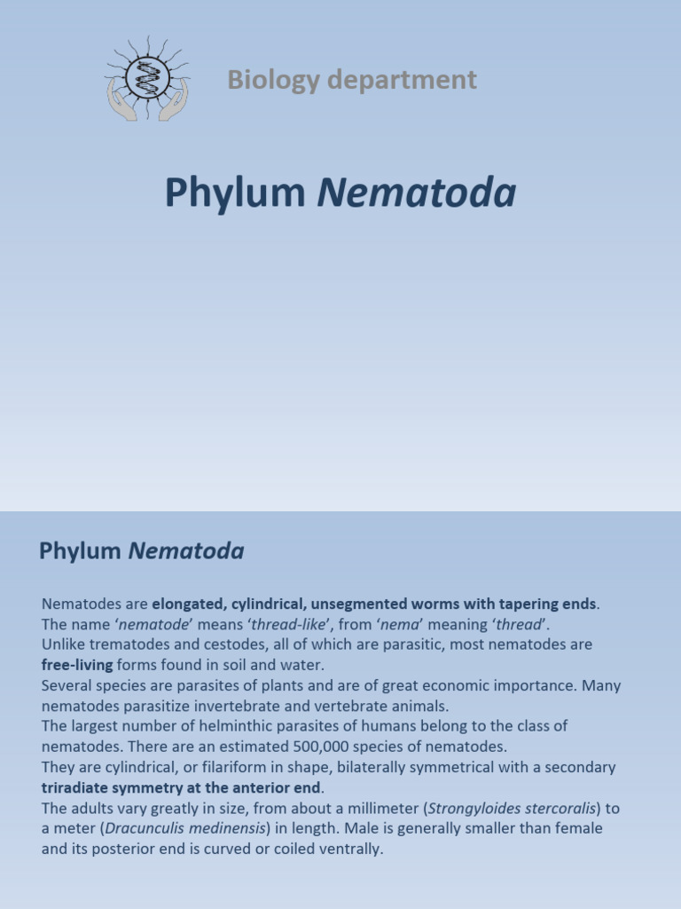 07 Nematoda en (1) | PDF | Nematode | Gastrointestinal Tract