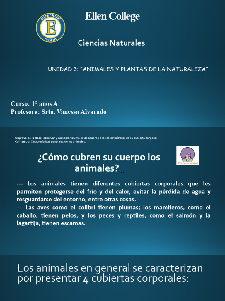 Cubiertas Corporales de Animales | PDF | Piel | Pluma