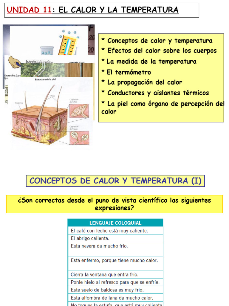 ppt del calor y temperatura | PDF | Calor | Temperatura