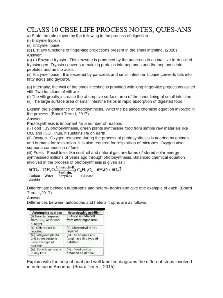 Class 10 Cbse Life Process Notes | PDF | Cellular Respiration ...