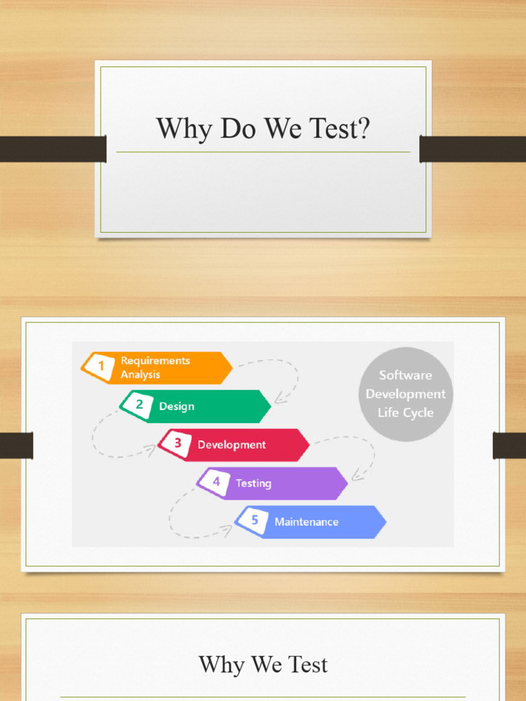 Why Do We Test | PDF | Software Testing | Application Software