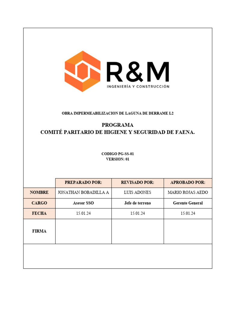 Programa Comité Paritario de Higiene y Seguridad | Descargar gratis PDF | Valores