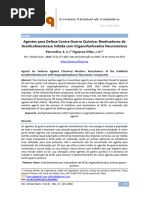 Uso e História do Zyklon B | PDF