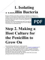 A Step by Step Guide To Making Your Own Penicillin at Home | PDF ...