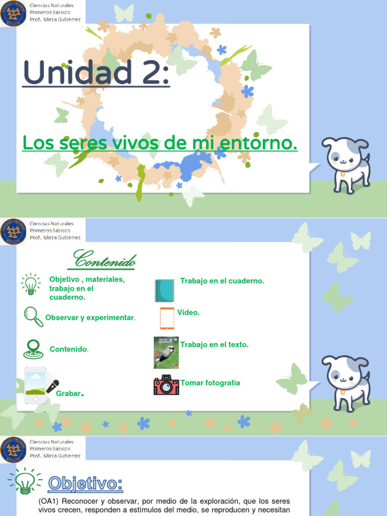 Unidad 2. Los Seres Vivos de Mi Entorno | PDF | Vida | Plantas