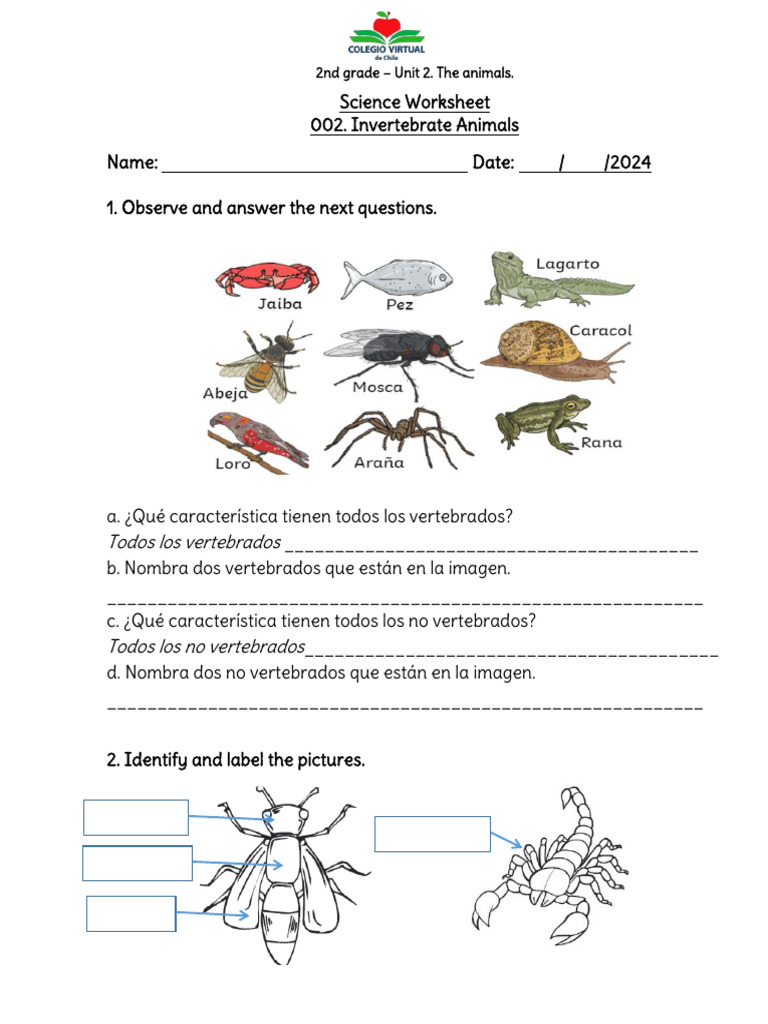 002-2°b-Guia de Science-Unit 2-Invertebrate Animals-Worksheet | PDF ...