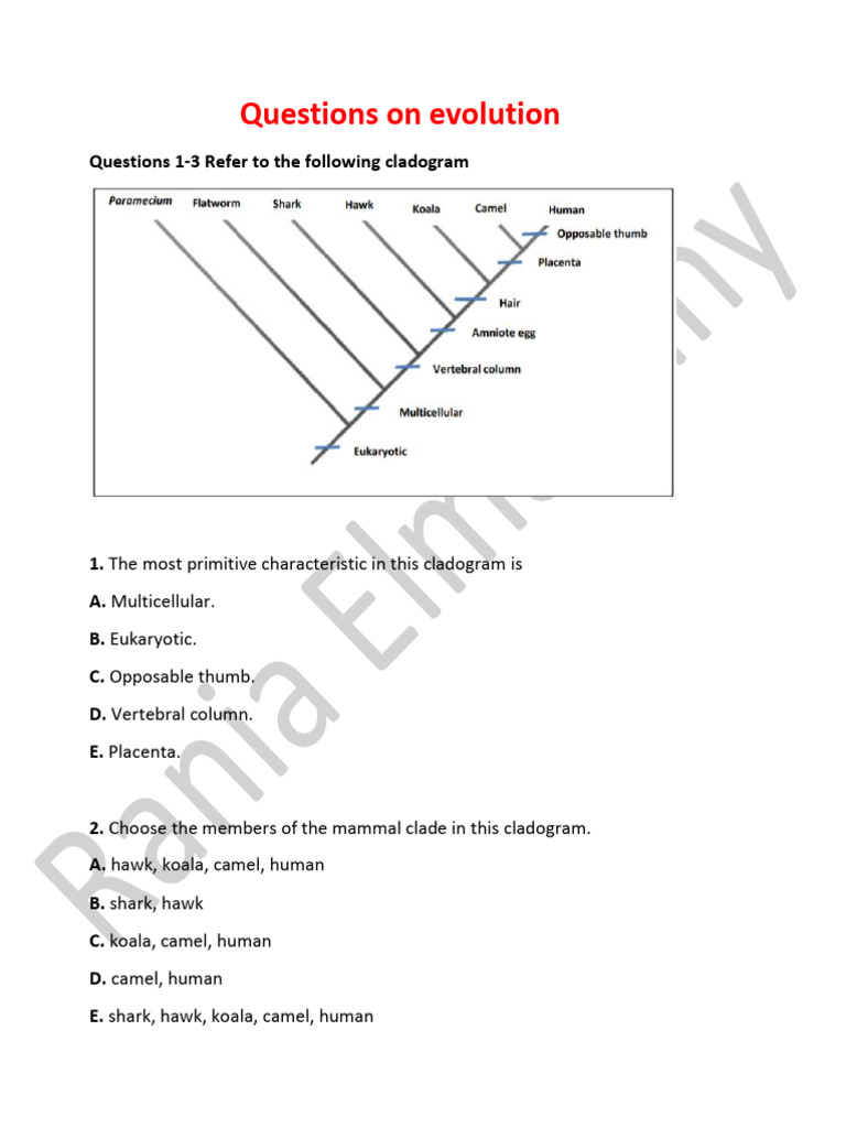 evolution | PDF | Evolution | Natural Selection