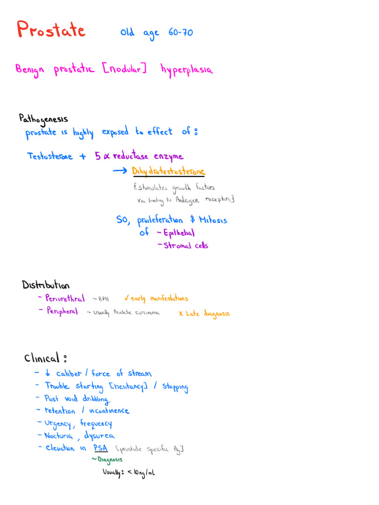 2 Prostate | PDF | Prostate | Prostate Specific Antigen