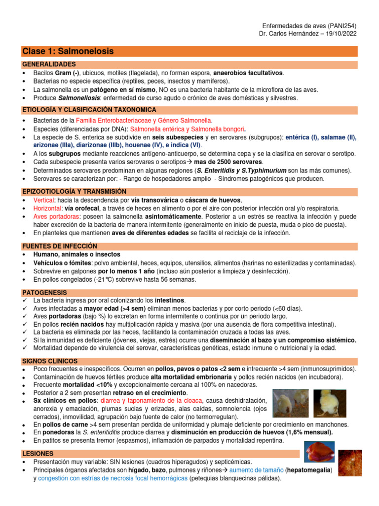 Aves 2 | Descargar gratis PDF | Salmonela | Escherichia coli