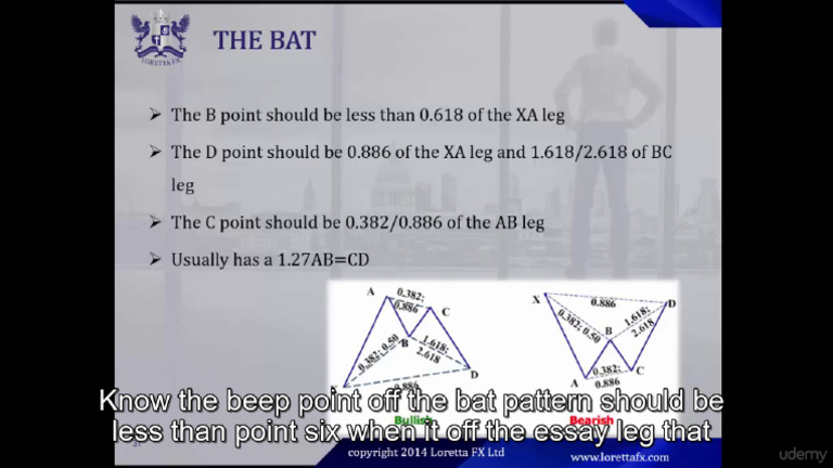 Bat | PDF