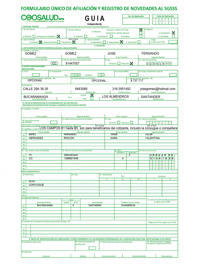 003 - Guia Formulario Independiente | PDF | Documento de identidad | Instituciones sociales